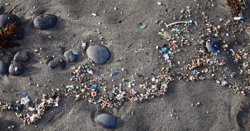 Zero Waste - Sustainable Bainbridge